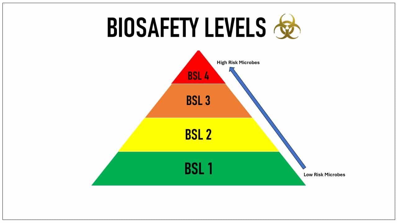 Biosafety Levels: BSL-1, BSL-2, BSL-3, BSL-4 Laboratories